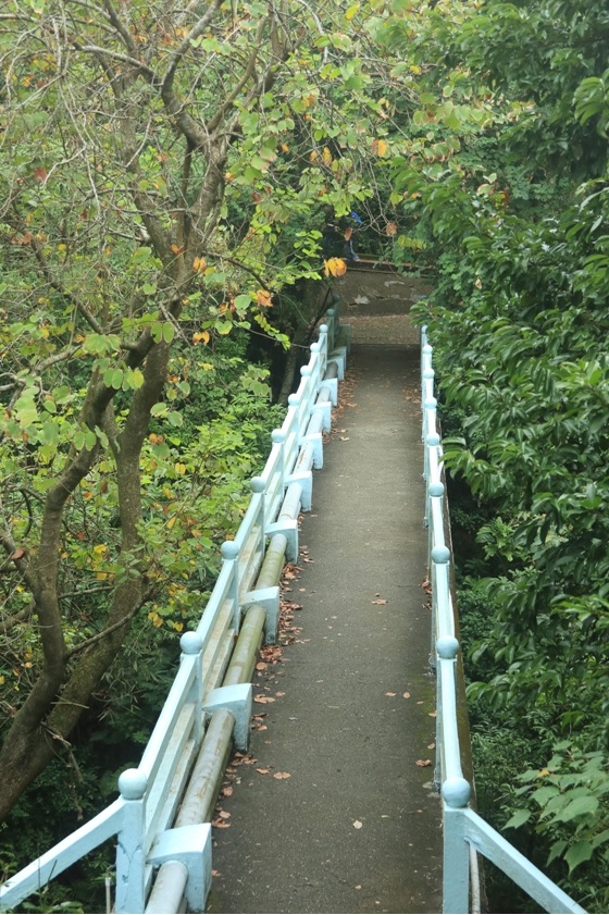 大水坑 (神樂院) Tai Shui Hang - Playas.hk 一站式玩樂平台