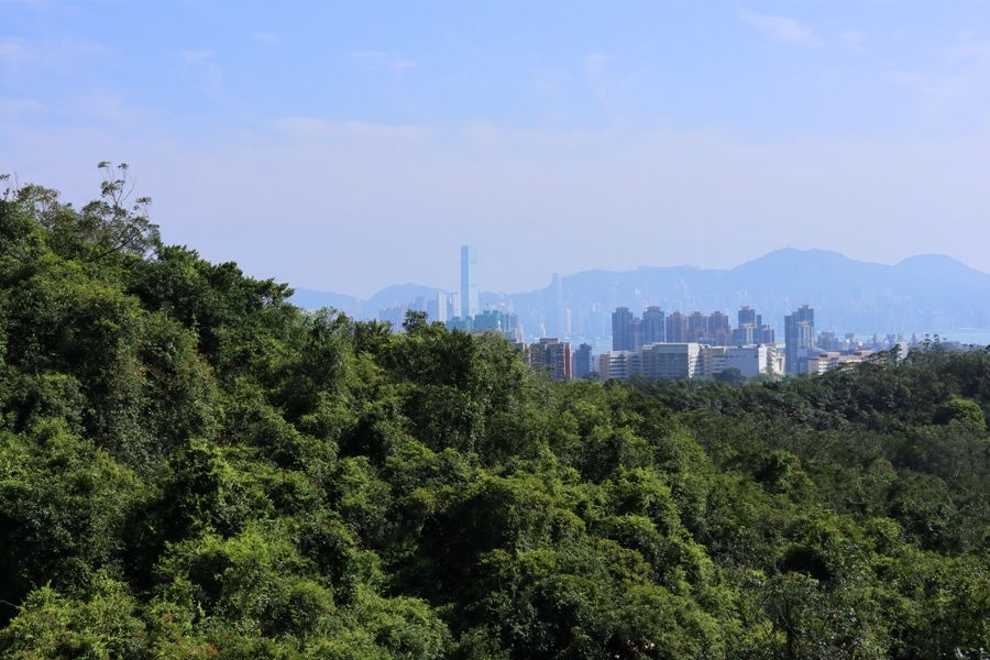 石梨貝水塘 Shek Lei Pui Reservoir - Playas.hk 一站式玩樂平台